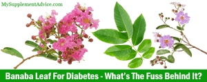 Banaba Leaf For Diabetes - What’s The Fuss Behind It? - Supplementox