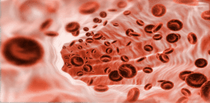 Banaba Leaf For Diabetes - What’s The Fuss Behind It? - Supplementox